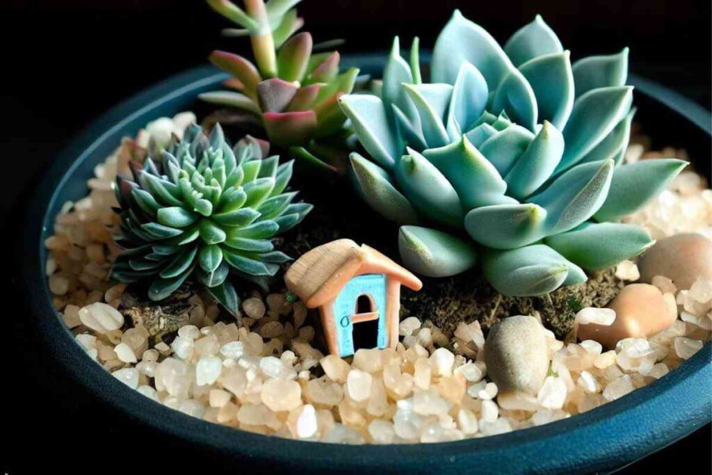 How to Create an Indoor Succulent Garden: A Step-by-Step Guide ...